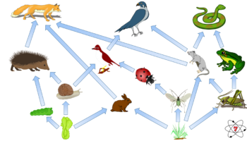 GCSE Science Lessons – Make Science Easy