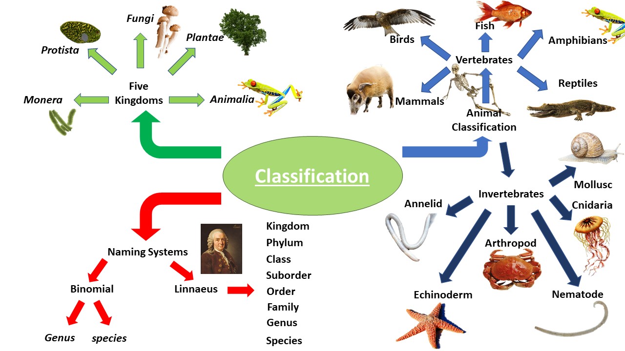 Ultimate Revision Guide – Make Science Easy