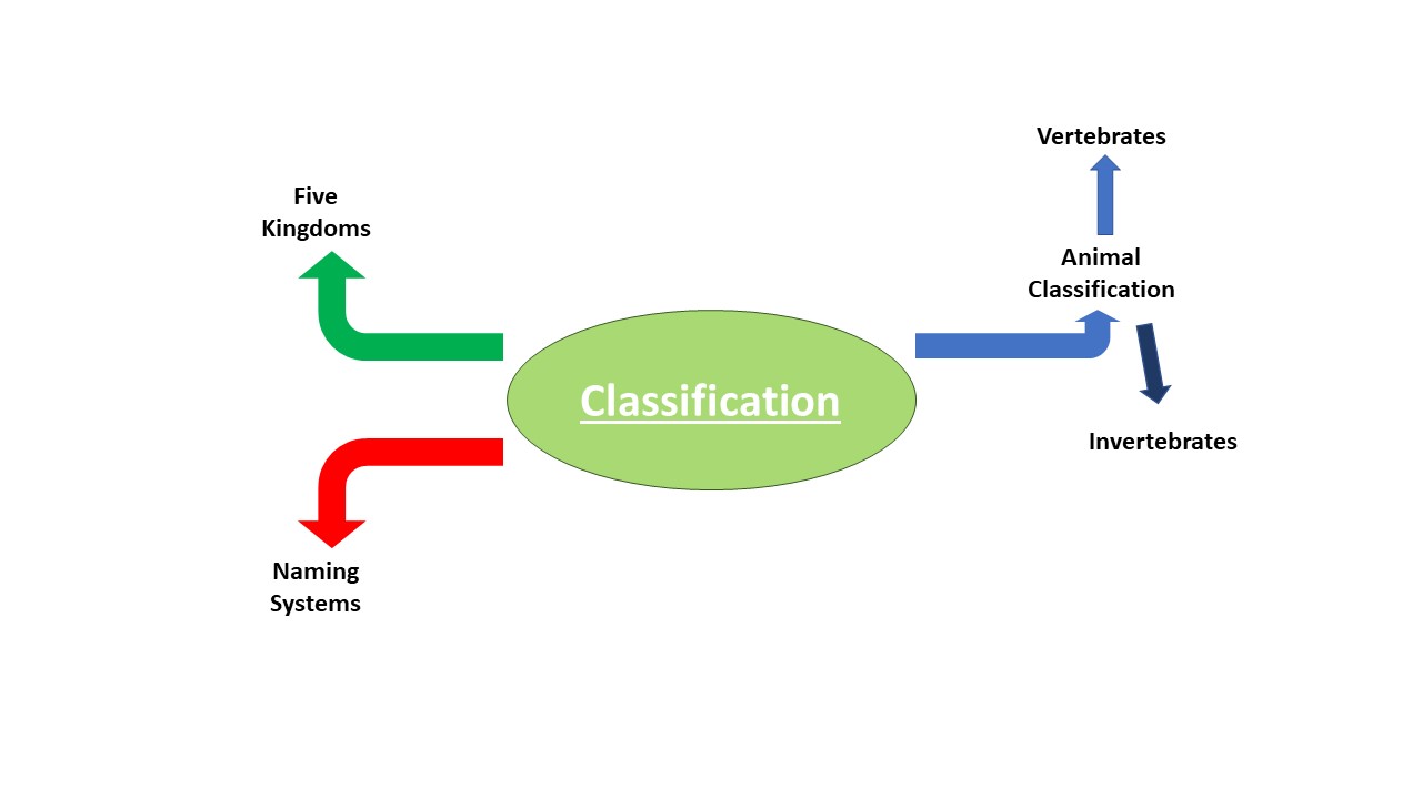 Ultimate Revision Guide – Make Science Easy